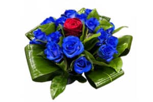 Rainbow Valentijn rozen kopen - 14 Februari 2025