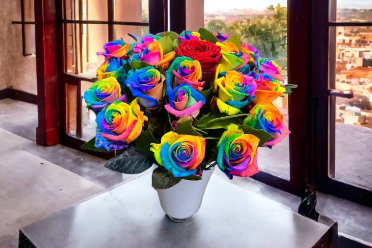 Rainbow Valentijn rozen kopen - 14 Februari 2025