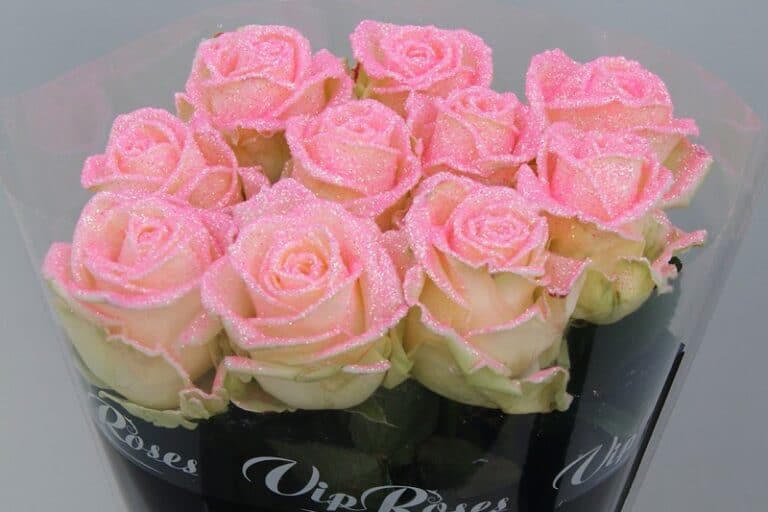 Super glitter pink rozen - Gay Parade Amsterdam