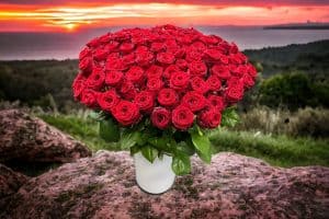 Waanzinnige 100 rode rozen kopen en bezorgen ook op Zondag